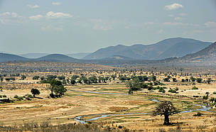 Banking on conservation in Tanzania | WWF