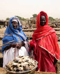 Kayar - a key fishing town that recognises limits must be set | WWF