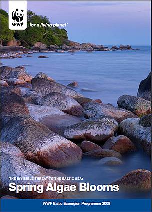 The Invisible Threat to the Baltic Sea: Spring Algae Blooms | WWF