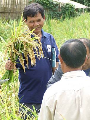 Rice intensification: new way for poverty reduction? | WWF