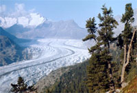 New study identifies important alpine areas | WWF