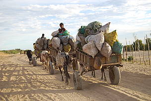 Hundreds of Farmers become Charcoal Producers in South Madagascar due ...