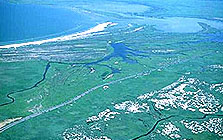 Restoring the Danube | WWF