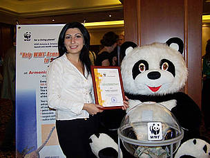 And the winners are ... | WWF