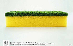 WWF's persistent work to ban phosphates in detergents finally paying ...