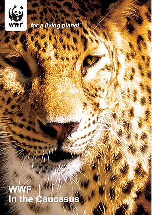 WWF in the Caucasus | WWF