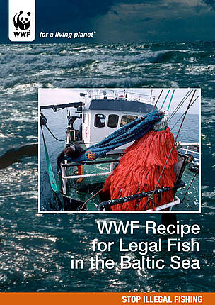 WWF recipe for legal fish in the Baltic Sea | WWF